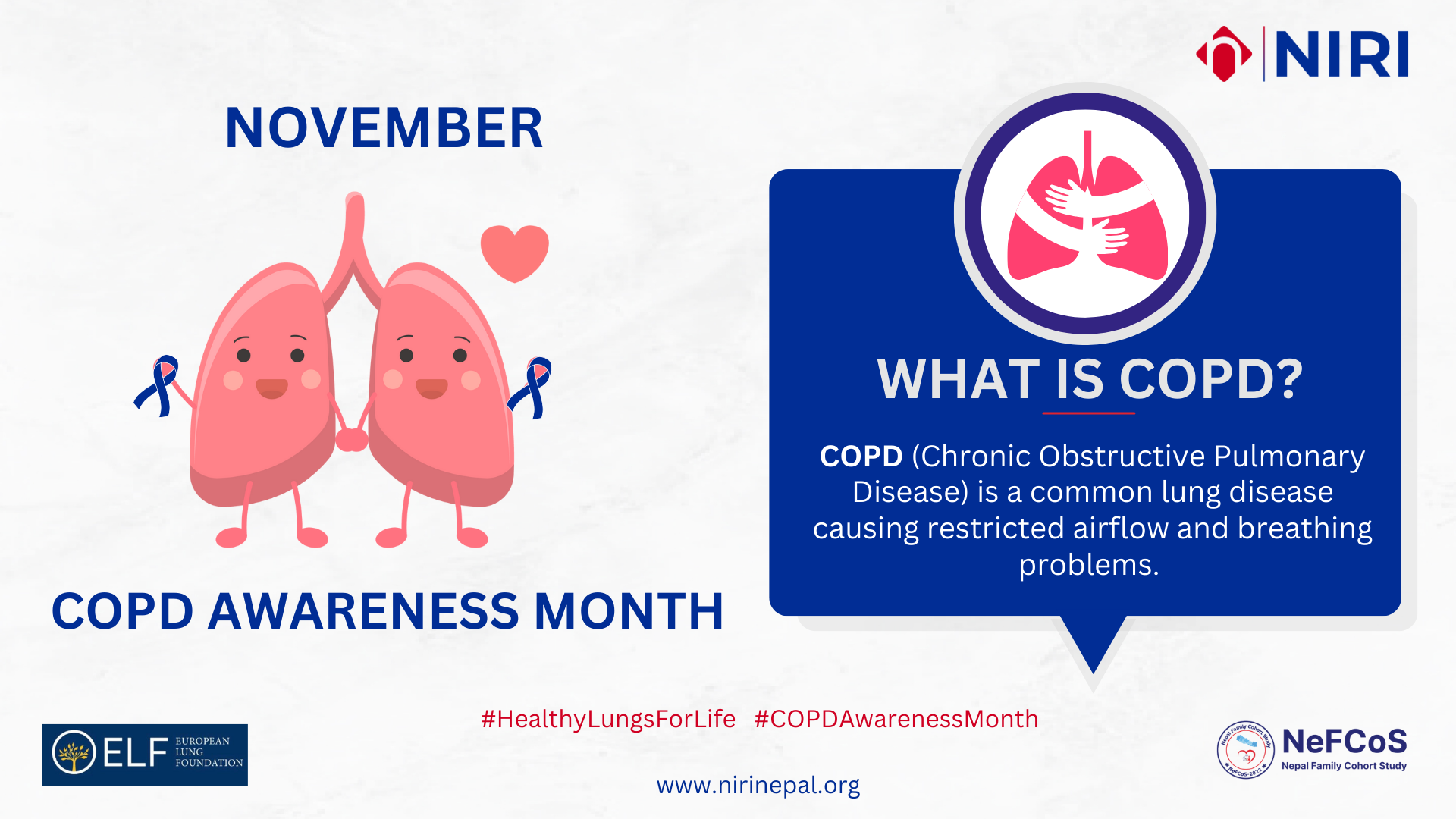 Understanding COPD: Burden, Risk Factors and Public Health Measures of ...